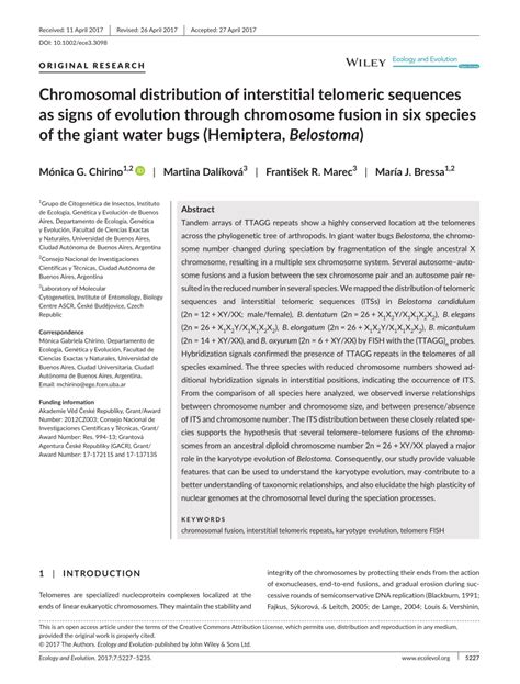 Pdf Chromosomal Distribution Of Interstitial Telomeric Sequences As Signs Of Evolution Through