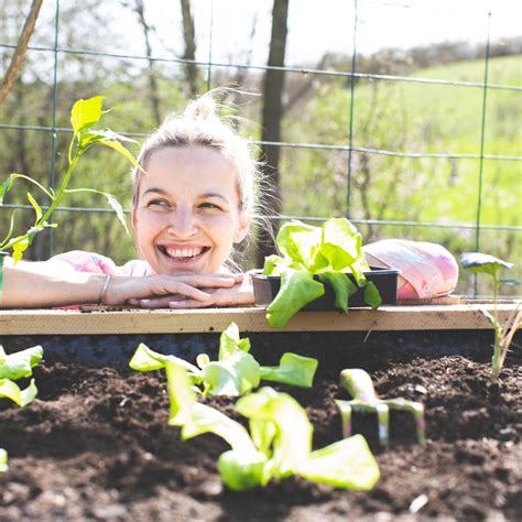 What Are Microclimates In The Desert Southwest Agriscaping