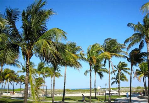 Las 7 Mejores Playas De Miami