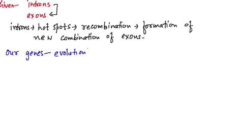 solved from 5 to 3 what are the components of the operon and what