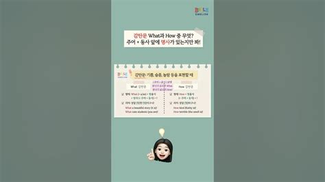 감탄문 What과 How 중 무엇 주어동사 앞에 명사가 있는지만 봐 Shorts 벨쌤영어 영문법 영문법기초 Youtube