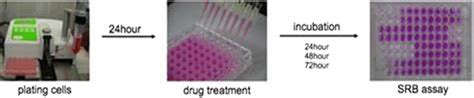 Determination Of Cell Proliferation By Srb Assay In Different Download Scientific Diagram