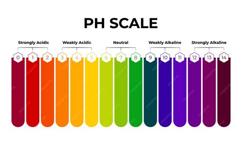 Premium Vector Ph Scale Strongly Acidic Weakly Acidic Neutral Weakly