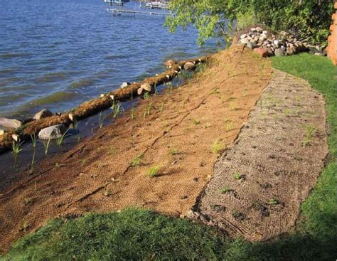 There Are Many Plants Growing In The Sand By The Water S Edge Along With Some Rocks And Grass