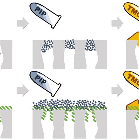 Schematic Diagram On The Fabrication Of A Tfc And B Tfni Membranes Download Scientific
