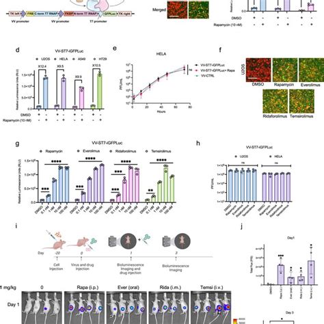 integration functional characterization and optimization of the split