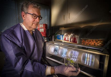Microgravity Simulation Laboratory Stock Image C0512520 Science
