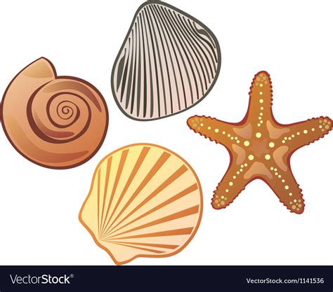 Sea Cockleshell Royalty Free Vector Image Vectorstock Sea Cockleshell Royalty Free Vector Image Vectorstock
