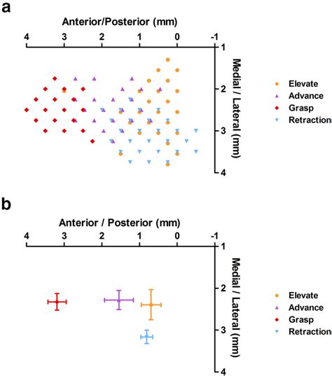Complex Movement Representation Topography Elicited Under Ld Icms A