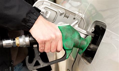 Rob Hull All Their Latest Coverage Daily Mail Online