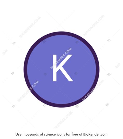 Free 19 Potassium Icons Symbols And Images Biorender