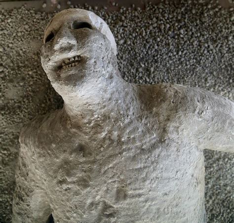 Dna Analysis Reveals Pompeii Victims Were Not Who Archaeologists Once