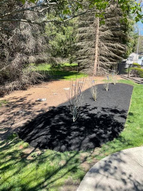 Pfohman Pfohman Landscaping And Snowplowing Llc