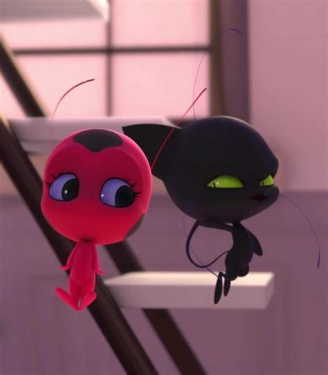 Tikki And Plagg Miraculous Ladybug S4 Kuro Neko Miraculous