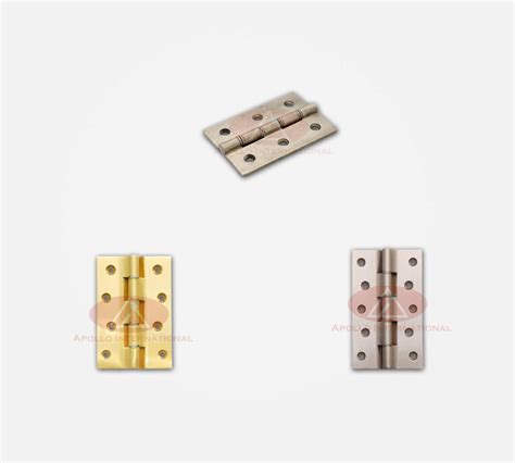 Ss Washer Hinges Manufacturer Apollo International