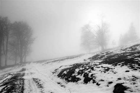 Pin By 𖠌 On ⋆₊ Gloom ♱ World Icon Nature Aesthetic Scenery