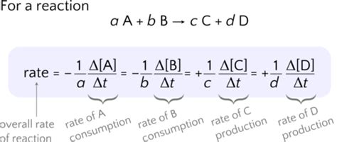 Chem Kinetics Review Flashcards Quizlet
