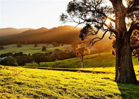 Conference Lets Get Earthy Making Your Landscape Sustainable — Nsw Landcare Gateway