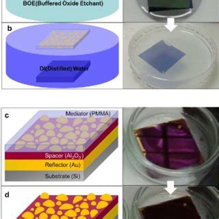 Figure S Diagrams Left And Corresponding Optical Photographs Of