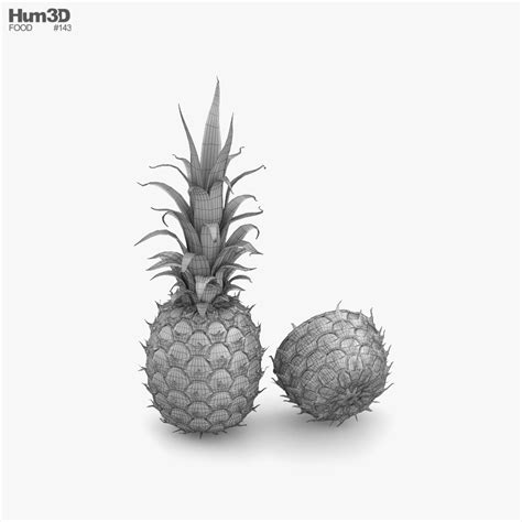 Pineapple 3d Model Download Fruit On