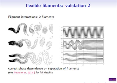 Duncan Clough GPU Implementation Of Lattice Boltzmann Method Becoming Borealis