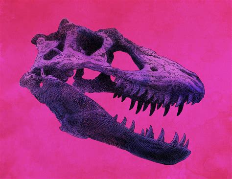 T Rex Drawing By Eric Fan Fine Art America