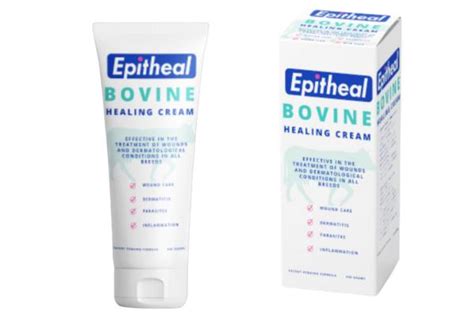 Epitheal On Linkedin Home Epitheal