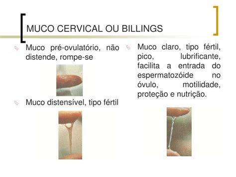 Desvantagens Do Muco Cervical Revoeduca