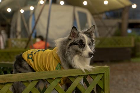 프랑스 파리 6박 7일 자유여행 명소 맛집 경비 총정리