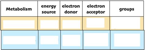 Ecoevo Final Exam Sg Flashcards Quizlet