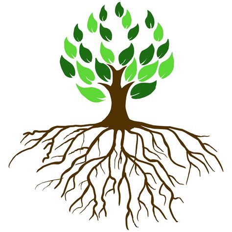 Men Vi Sinh Em C A H Ng Tr C Tuy N Shopee Vi T Nam