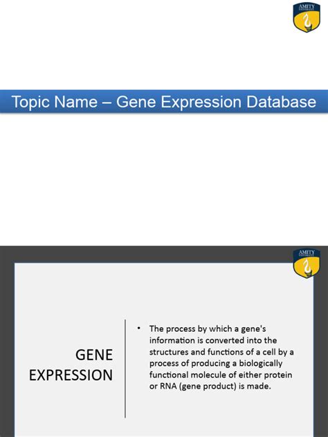 Lecture 6 Gene Expression Database Pdf