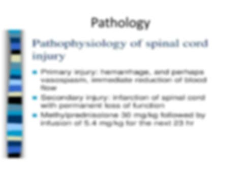 Solution Spinal Shock Studypool