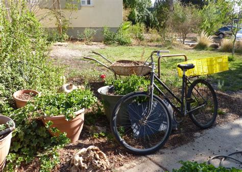 Kibbutz Kfar Hanassi In North America