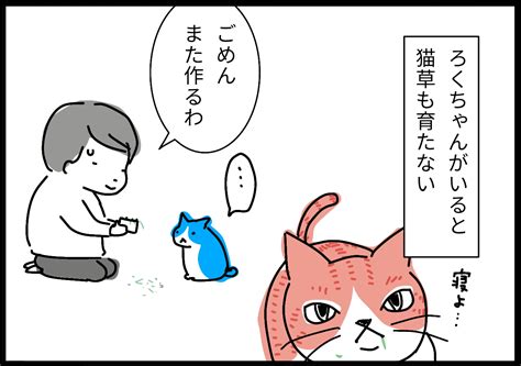 【猫マンガ】猫草が我が家で育たないワケ｜くるコトk807