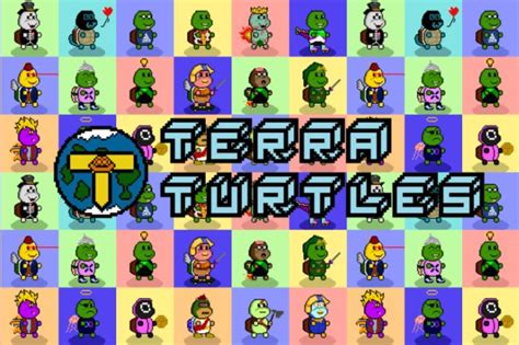 The Pudcast Ep 4 Terra Turtles Terraspaces
