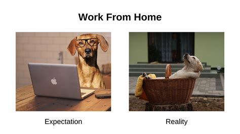 10 Funny Memes Work From Home Expectation Vs Reality
