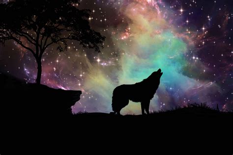 Download Hd Wolf Galaxy Wallpaper