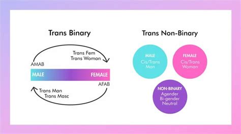 What Is Trans