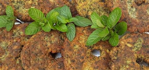 طرز تهیه شامی بابلی بدون گوشت با نخود مرحله به مرحله