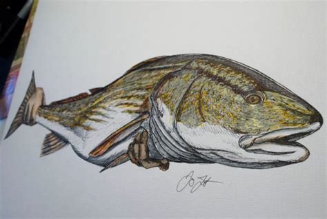 Photographer Spotlight Jay Talbot Flylords Mag