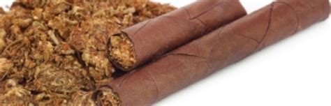 Rolling Papers Campus Drug Prevention