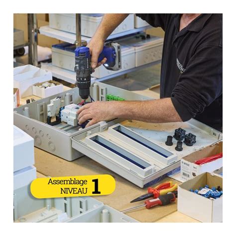 Assemblage And Câblage De Tableaux Et Coffrets Electriques Niveau 1