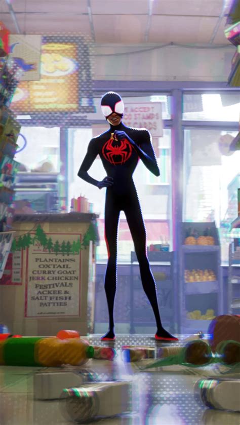 Download Spider Verse Character In Store Wallpaper
