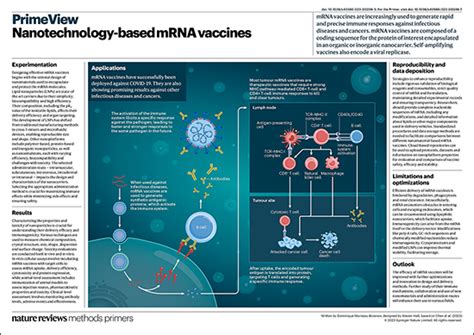 Daniel Siegwart董一洲陶伟教授 Nature Reviews：基于纳米技术的mrna疫苗中国聚合物网科教新闻