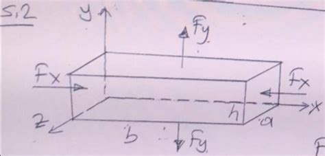 Solved A Three Dimensional Elastic Body With Dimensions B2m