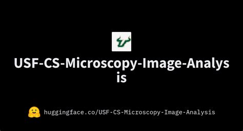 Usf Cs Microscopy Image Analysis University Of South Florida