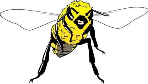 Insecto Svg Uidownload