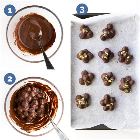 Chocolate Covered Blueberries Healthy Little Foodies