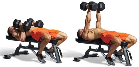 10 Exercises For The Perfect Triceps Workout With Dumbbells